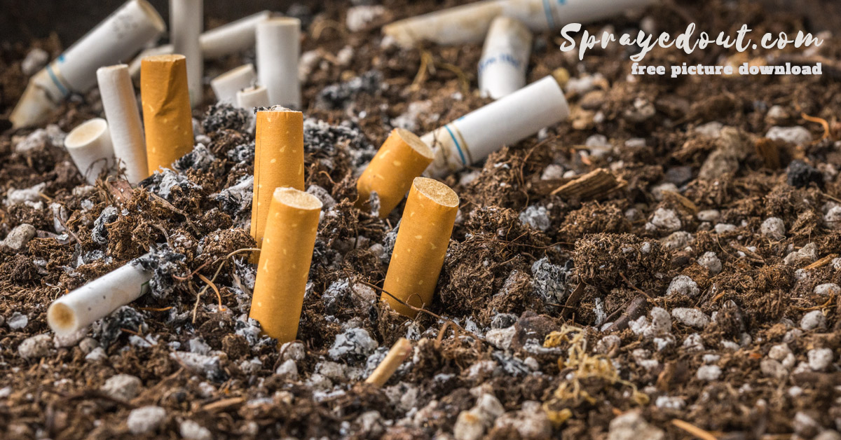 Free Picture for Blog: Cigarette Butts to Help Quit Smoking