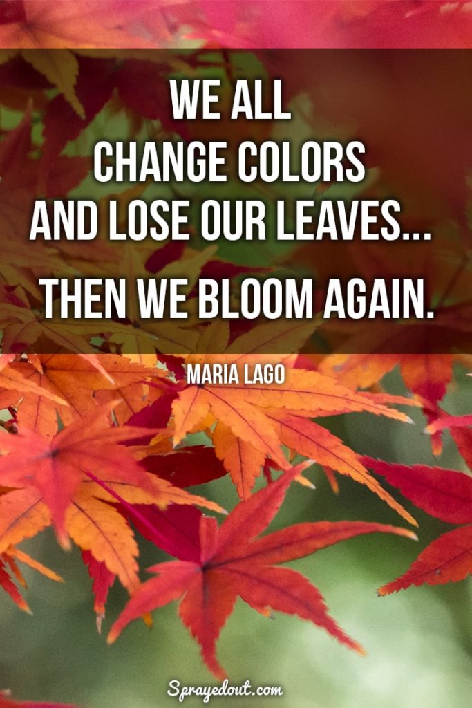 Autumn Quotes & Short Sayings to Make You Fall in Love with Leaves
