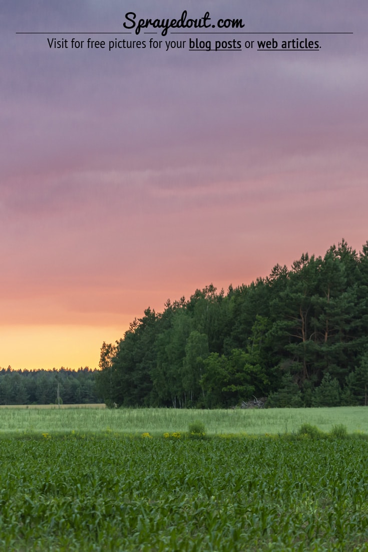 Countryside Nature Landscape at Sunset in Poland: Free Picture for Blogs